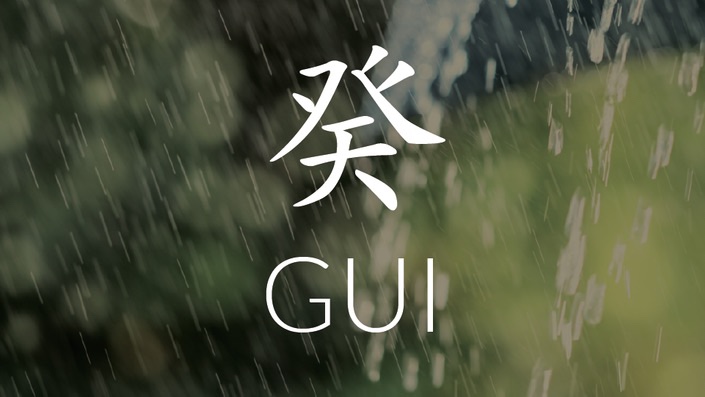 Day Master – Gui (Yin Water) – SHASTROLOGY